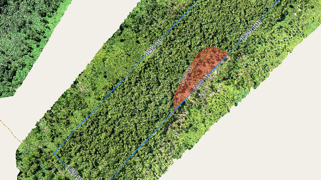 Detecting encroaching — Map Hub Online